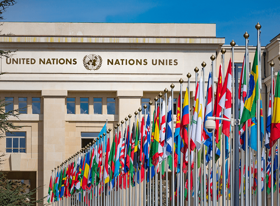 Experiencia en United Nations