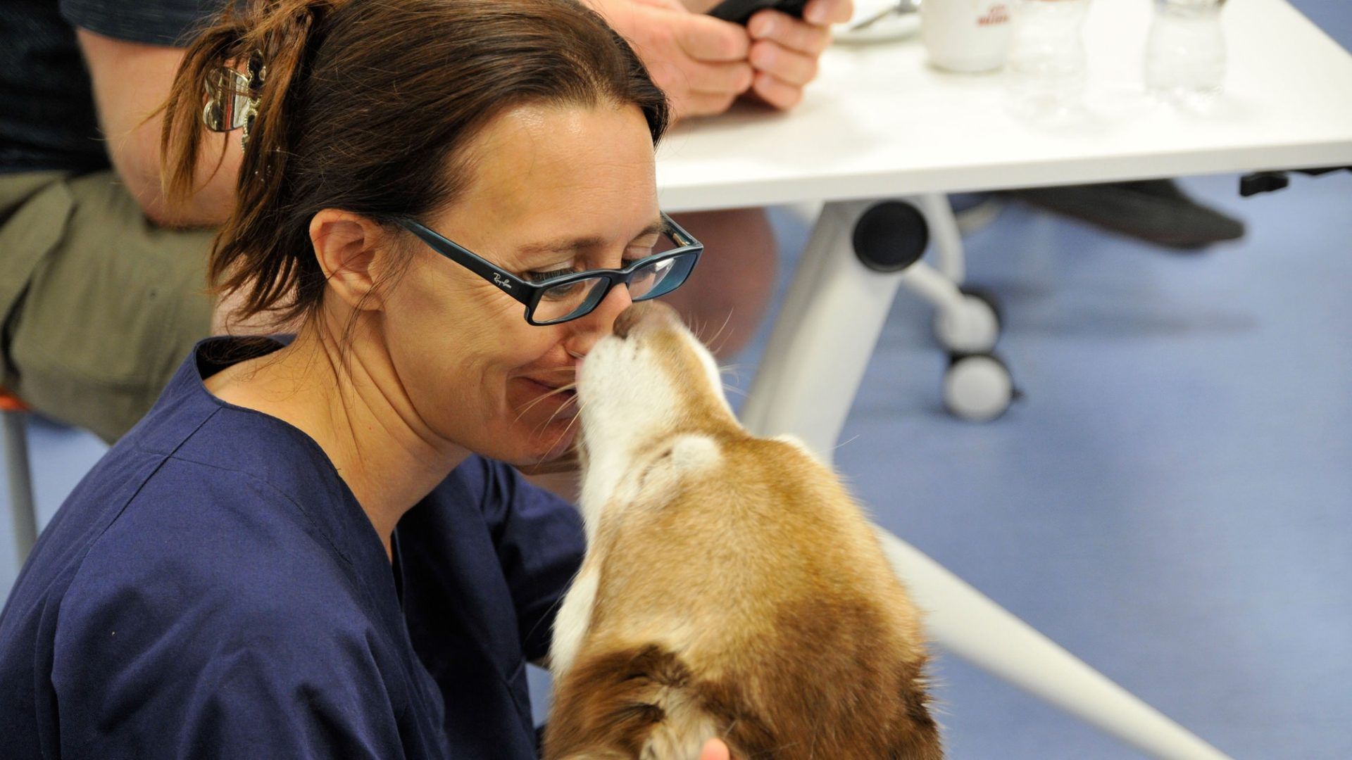Why European students choose CEU to study Veterinary Medicine